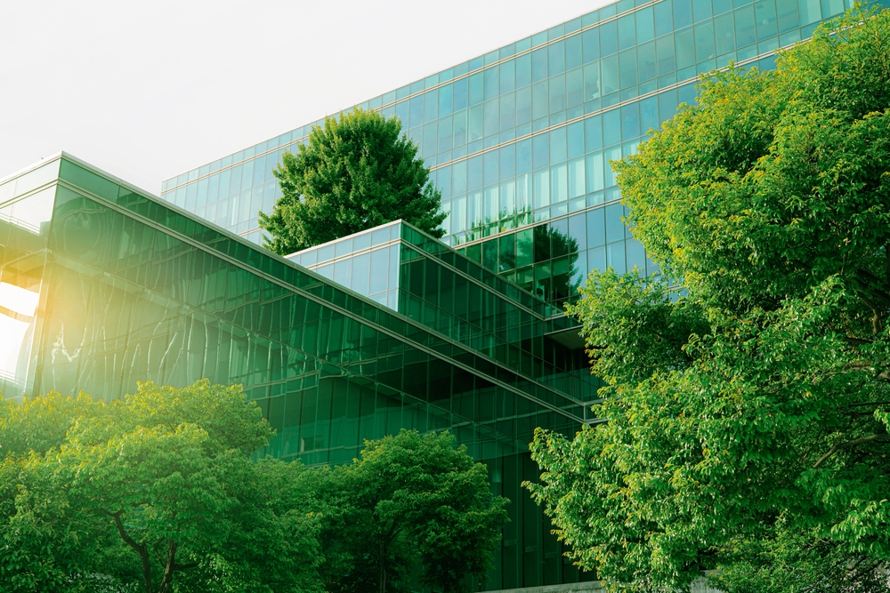 Fact sheet: Situating corporate climate transition plans within the ...