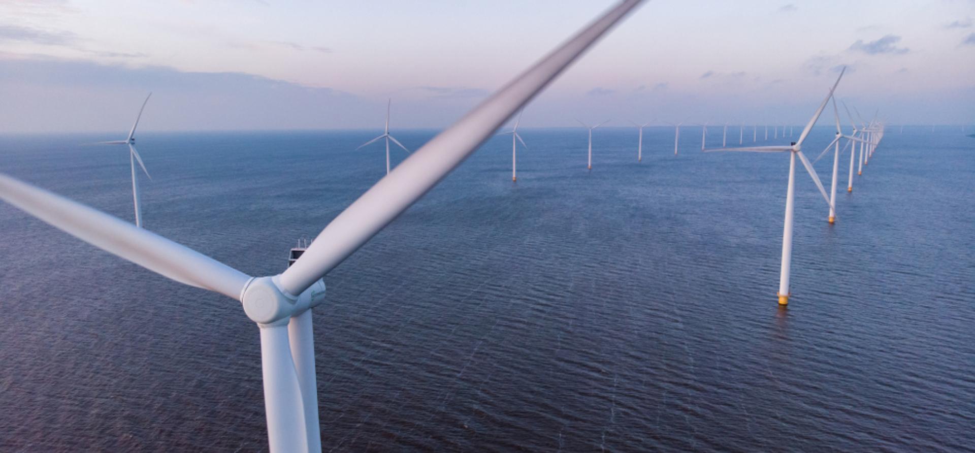 India’s renewables ministry reignites its offshore wind dreams | IEEFA