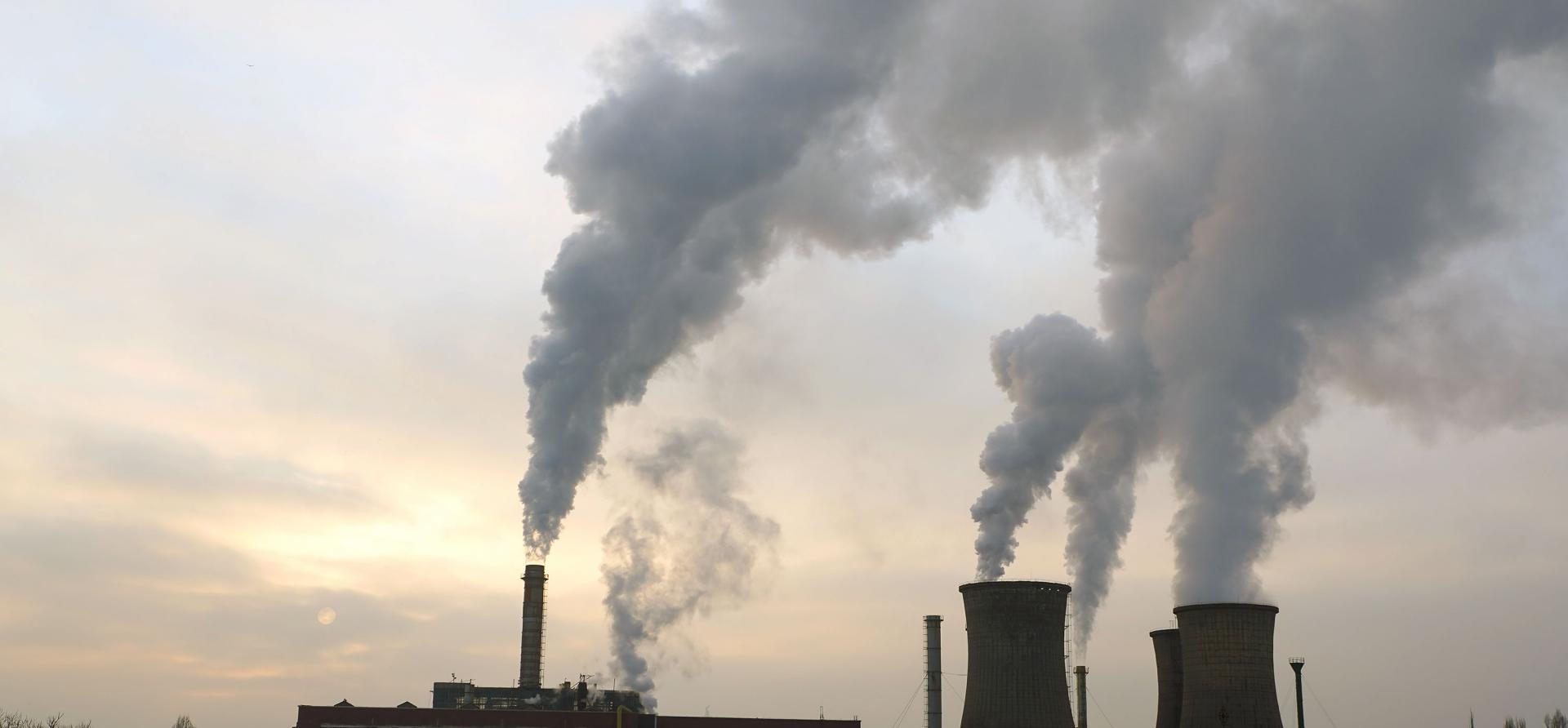 Harvard fossil fuel divestment can serve as model for other ...