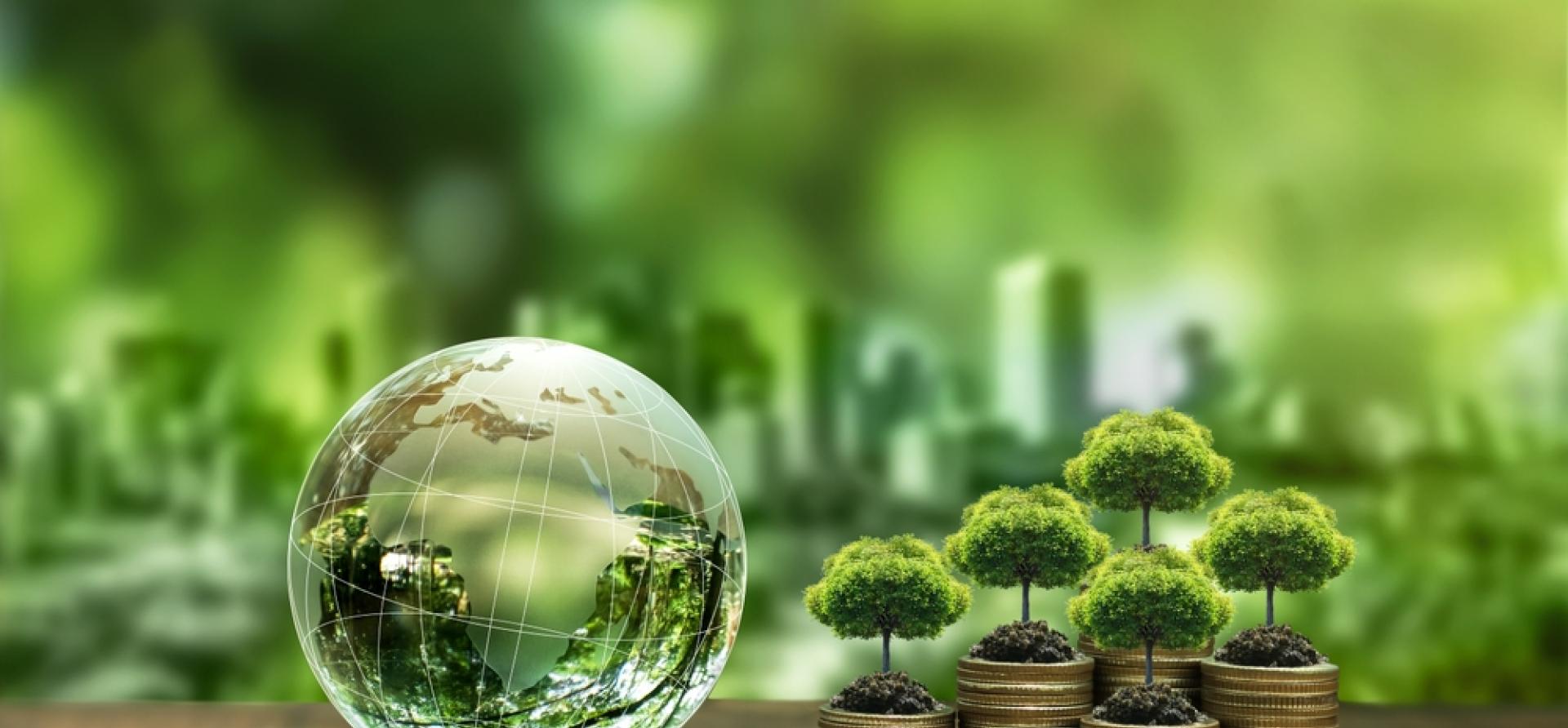 Enhancing Access to Multilateral Climate Funds by Developing Countries ...