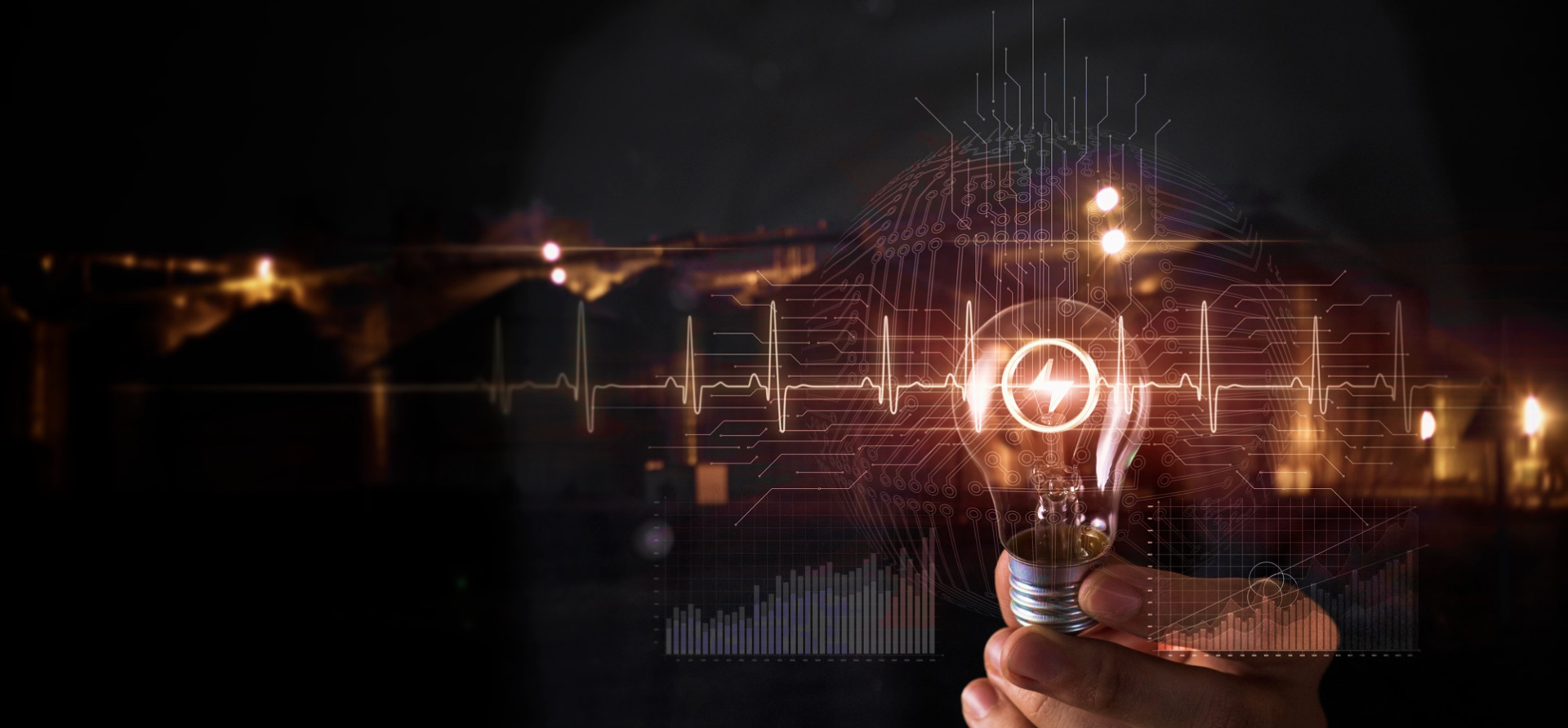 Insights on the electrification transition | IEEFA