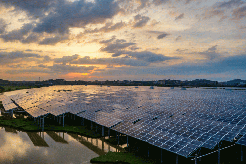 Agrivoltaics in India: Fertile Ground? | IEEFA