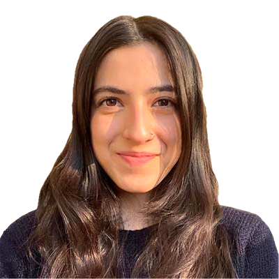 Shaping the Quad critical minerals initiative: Secure supply chains ...