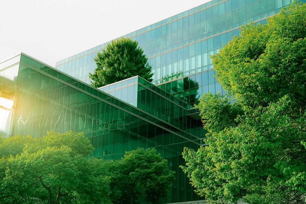 Fact sheet: Situating corporate climate transition plans within the ...